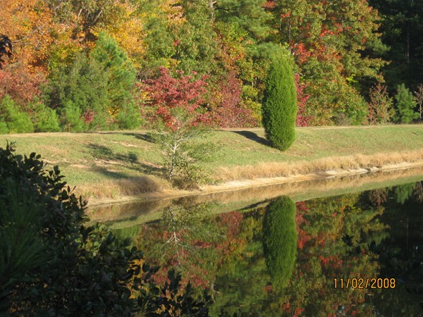 Post your best Triangle autumn photos! (Raleigh, Clemmons: closing, to ...