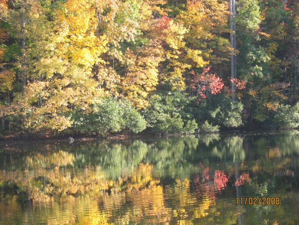 Post your best Triangle autumn photos! (Raleigh, Clemmons: closing, to ...